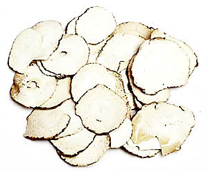 Fragrant Angelica Root (Bai Zhi ) – HerbalShop