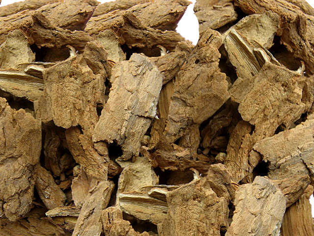 Ailanthus Bark (Chun Pi) – HerbalShop