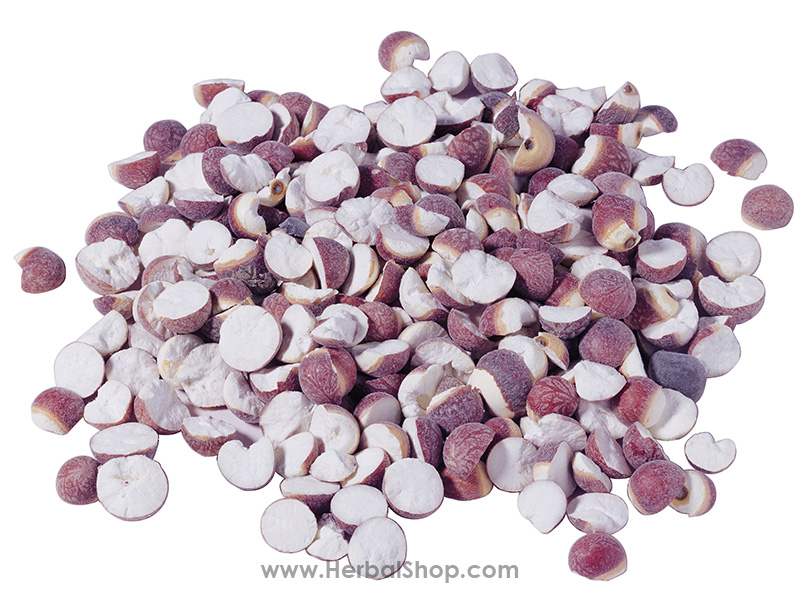 Euryale Seed (Qian Shi) – HerbalShop