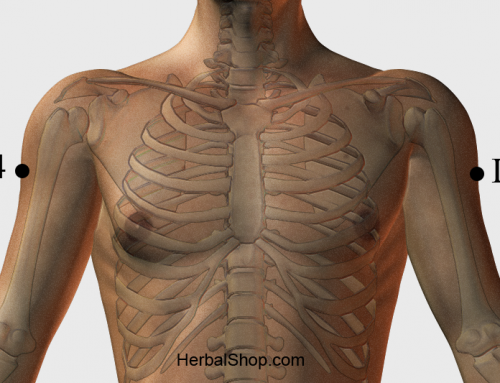 Acupressure Point LV3 (also known as LIV 3) – HerbalShop