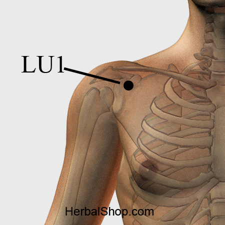 Acupressure Point LU1 – HerbalShop