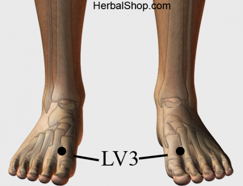 Acupressure Point UB48 (also known as BL-48) – HerbalShop