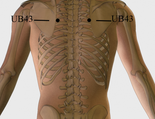 Acupressure Point LV3 (also known as LIV 3) – HerbalShop