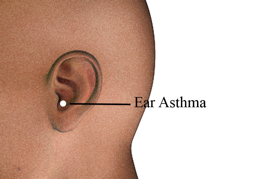 Acupressure Massage for Asthma – HerbalShop